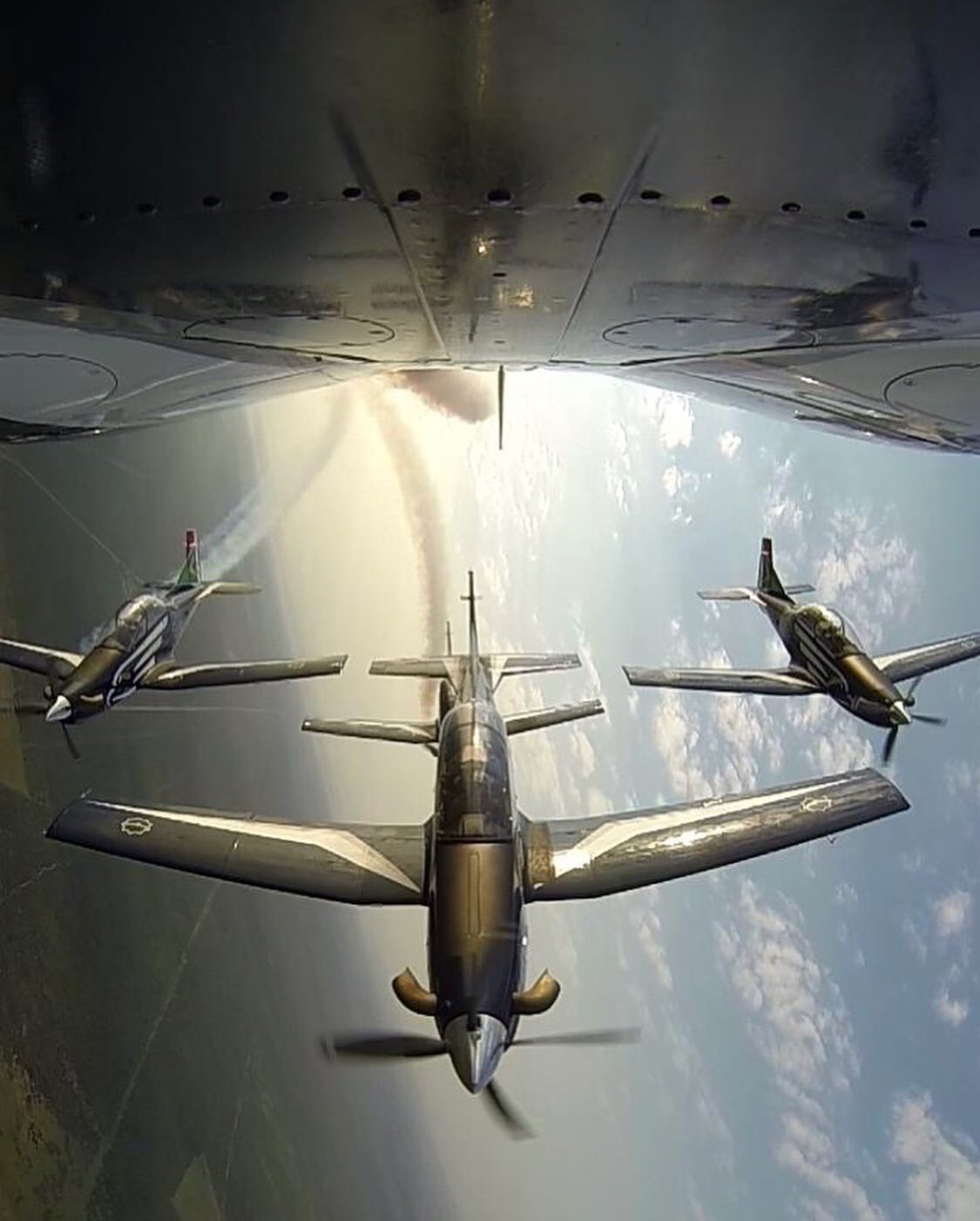 Silver Falcons Wallpapers - Wallpaper Cave