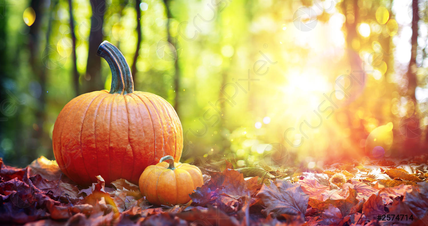 Autumn Pumpkin Leaves Forest Wallpapers - Wallpaper Cave