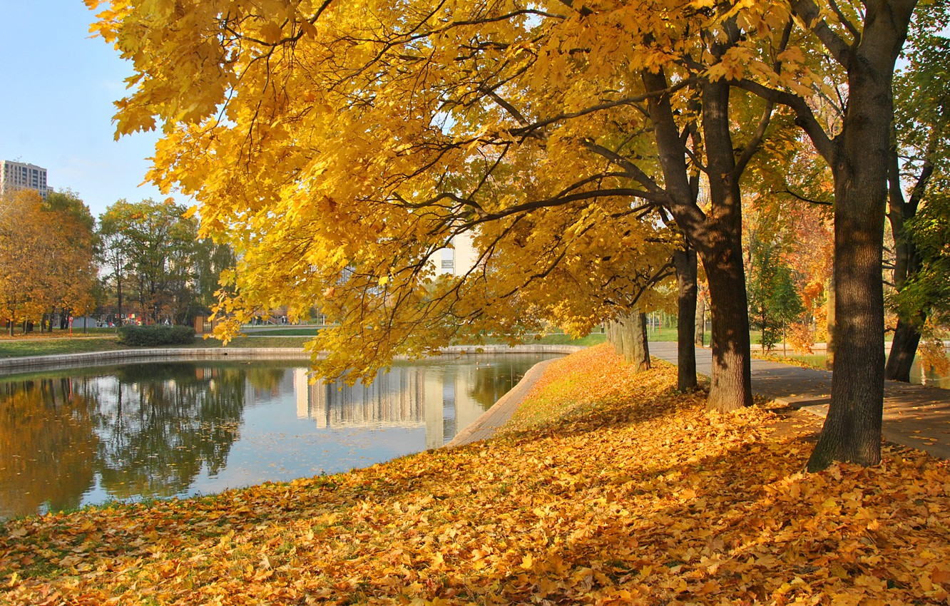 Autumn Hyde Park Wallpapers - Wallpaper Cave