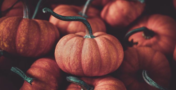 Halloween Pumpkin Desktop Wallpapers - Wallpaper Cave