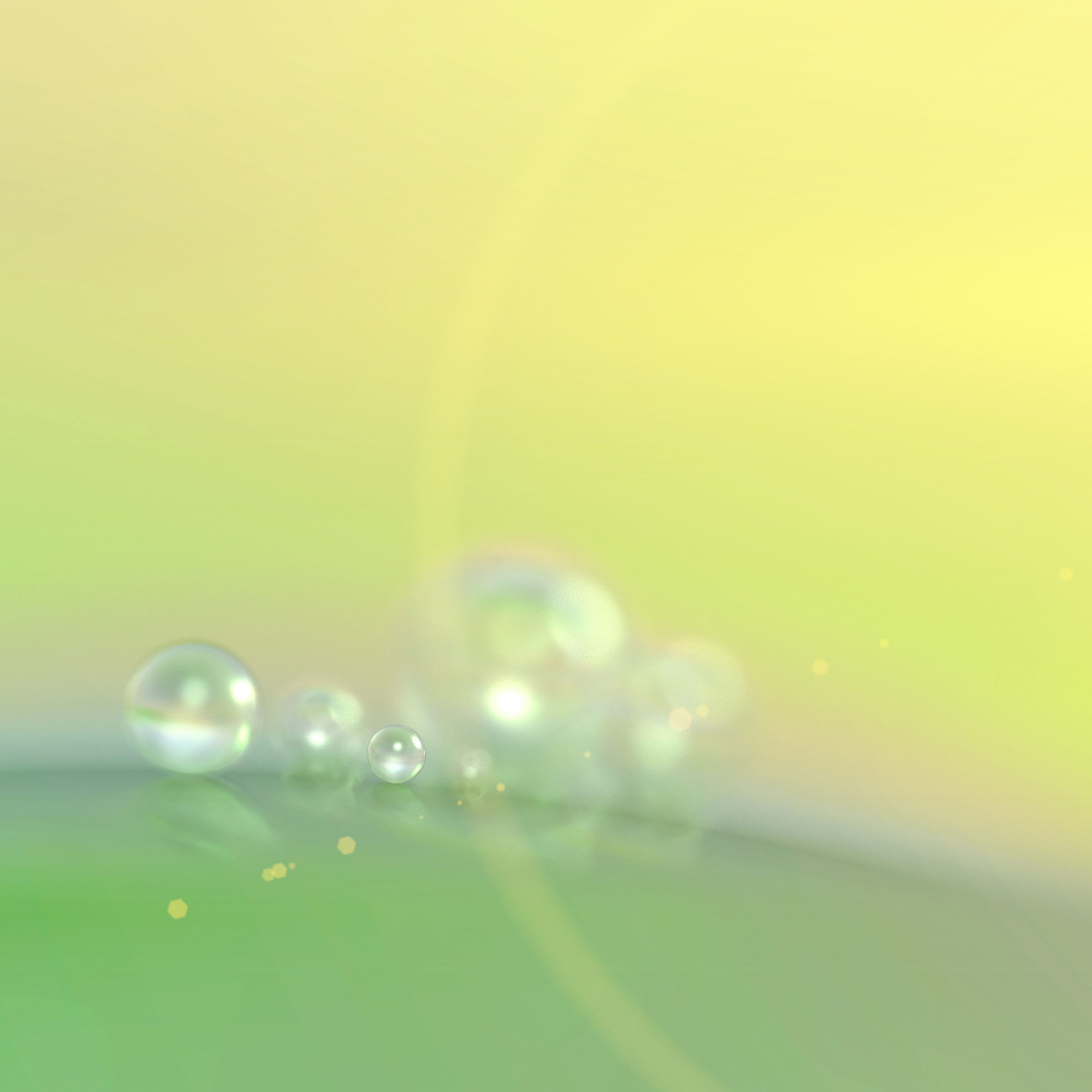 Dewdrop Wallpapers - Wallpaper Cave