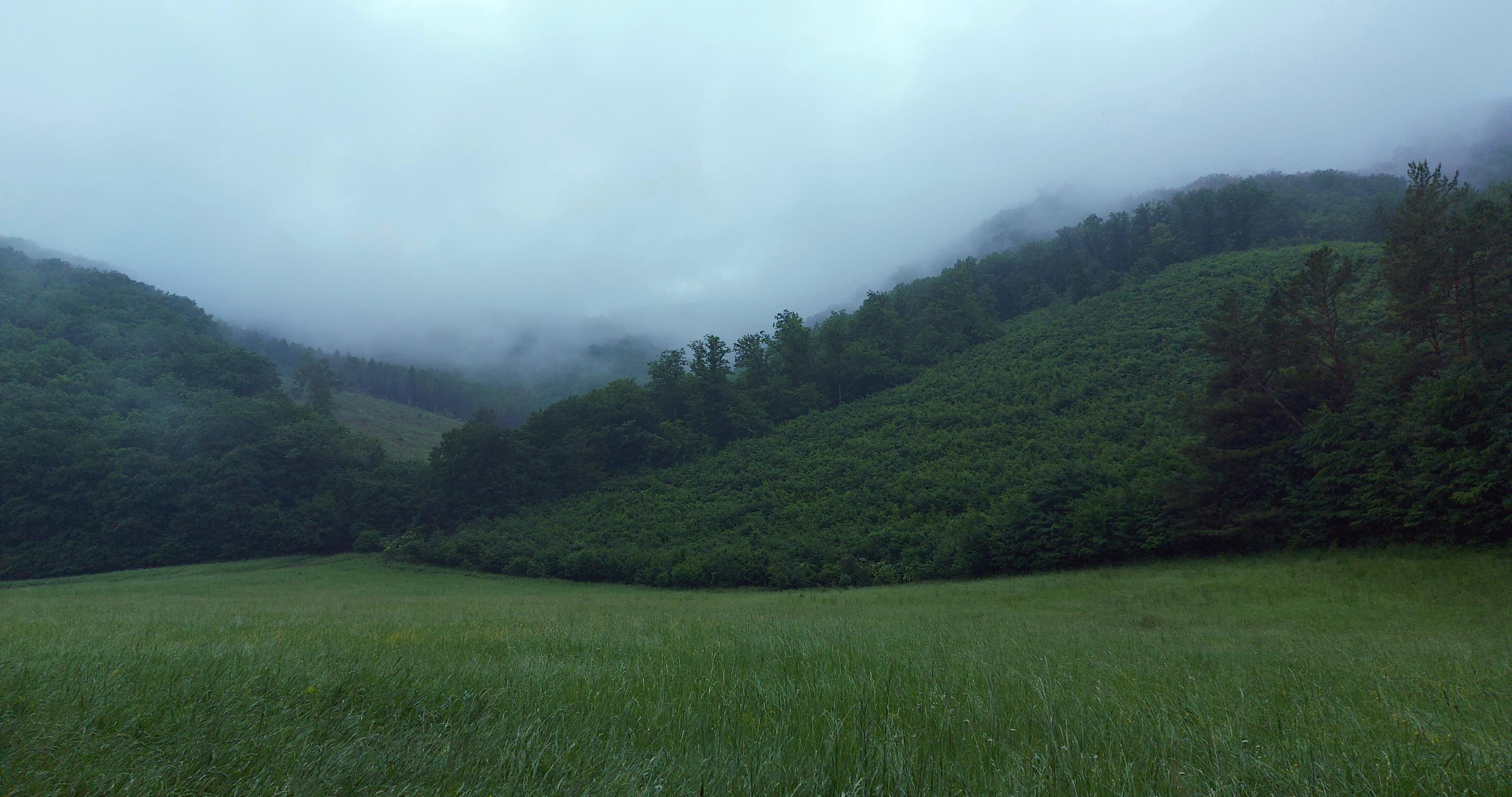 Dreary Wallpapers - Wallpaper Cave