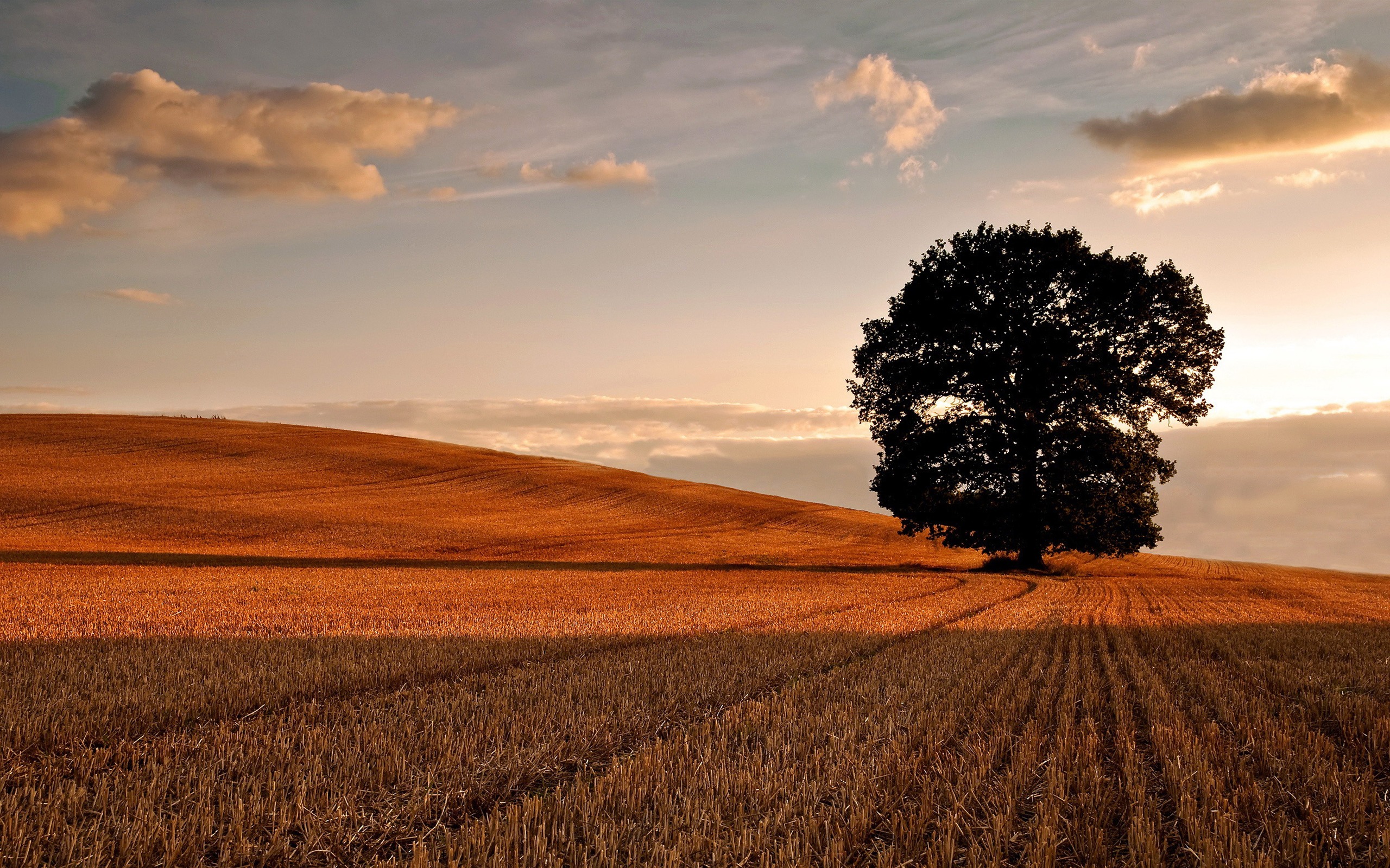 Beautiful Autumn Field Desktop Wallpapers - Wallpaper Cave