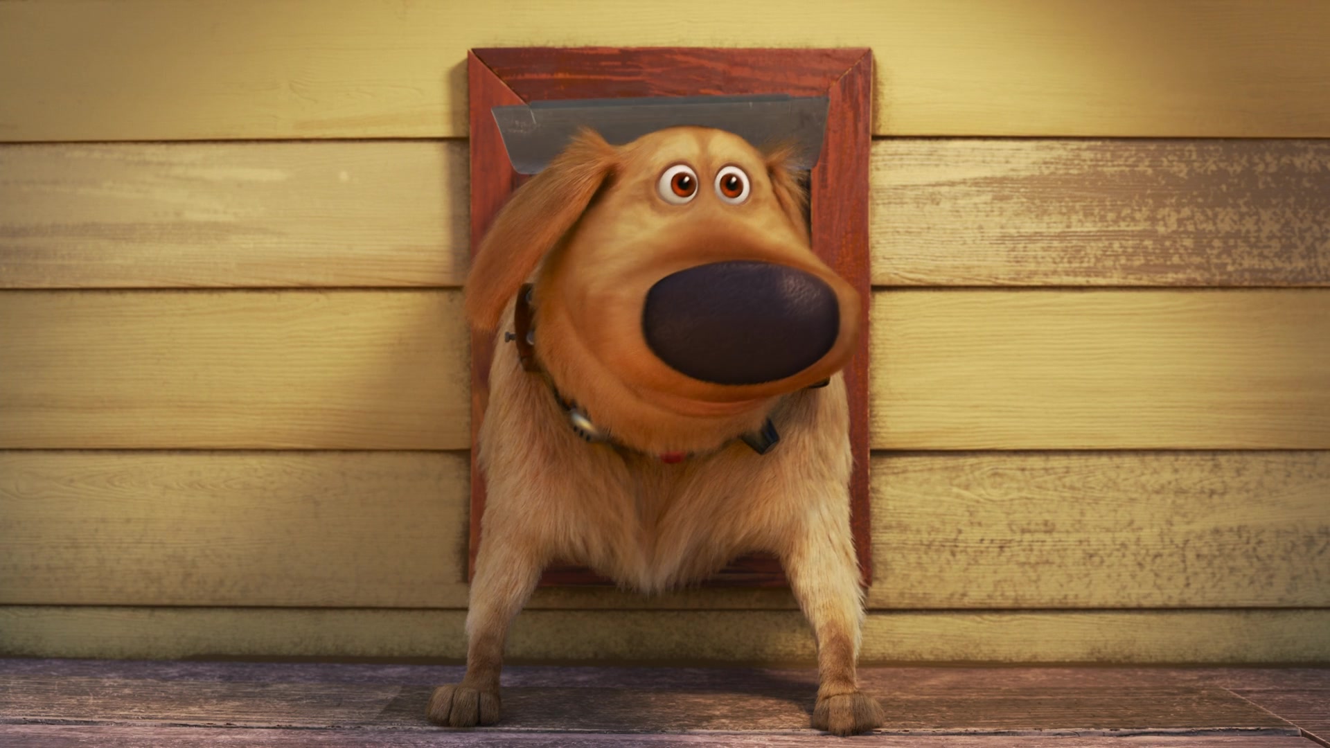 Dug Up Wallpapers - Wallpaper Cave