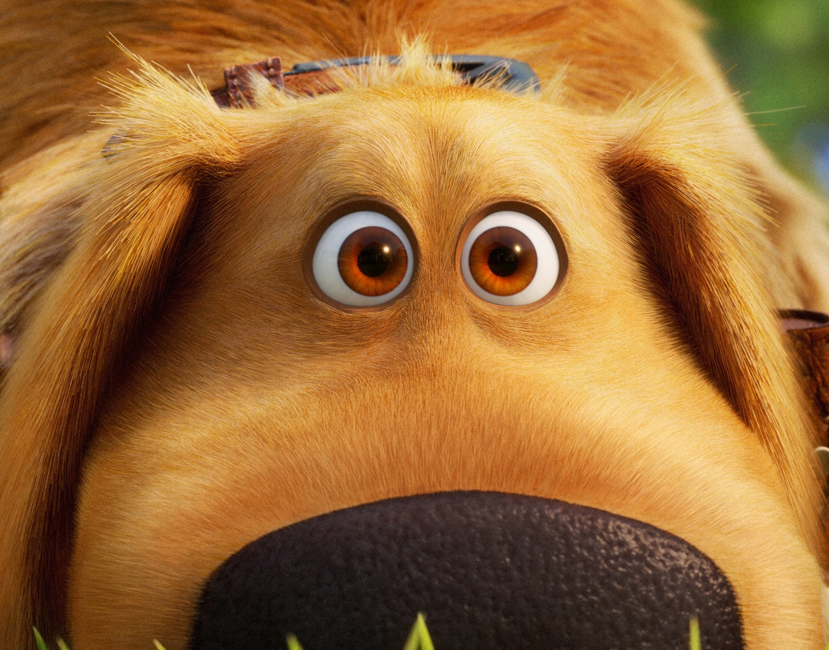 Dug Up Wallpapers - Wallpaper Cave