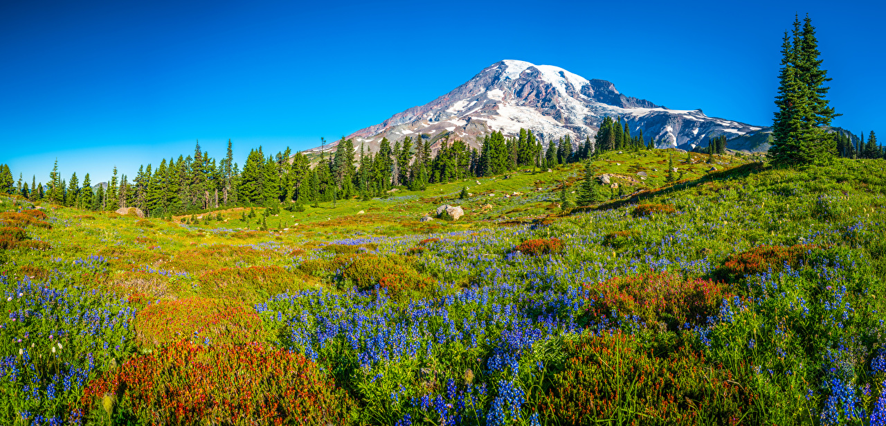 Panorama Summer Wallpapers - Wallpaper Cave