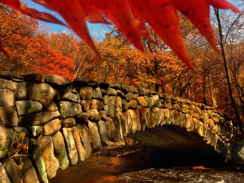 Fall Season 2022 Wallpapers - Wallpaper Cave