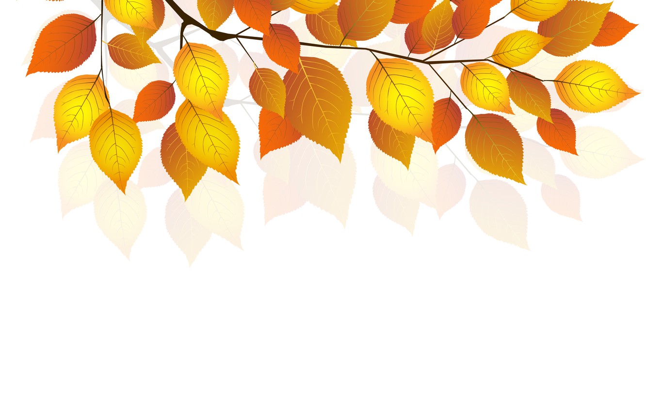 White Autumn Wallpapers - Wallpaper Cave