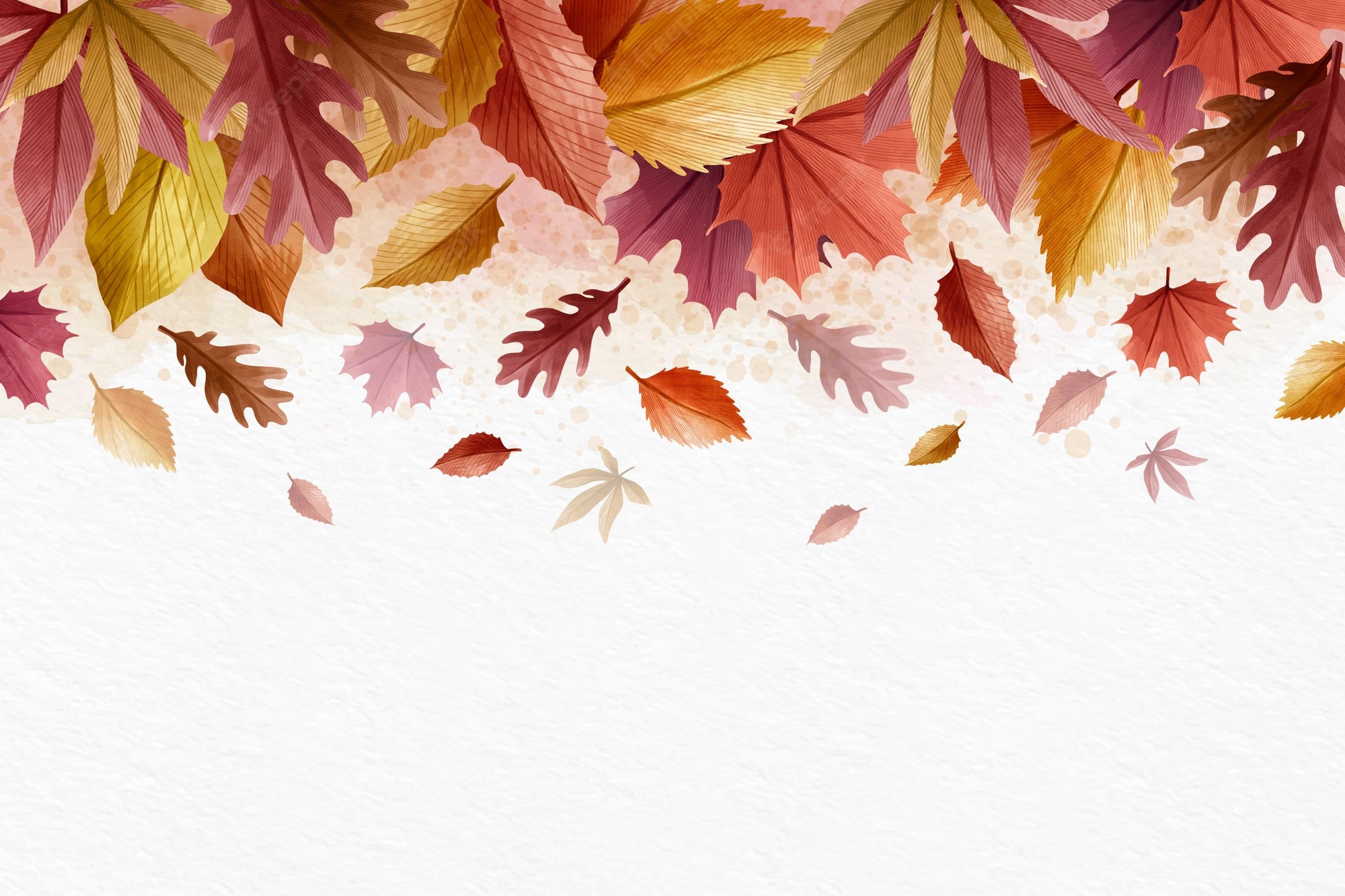 White Autumn Wallpapers - Wallpaper Cave