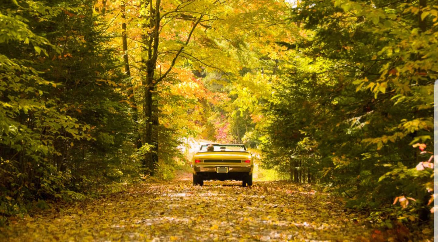 Park Autumn Car Wallpapers - Wallpaper Cave