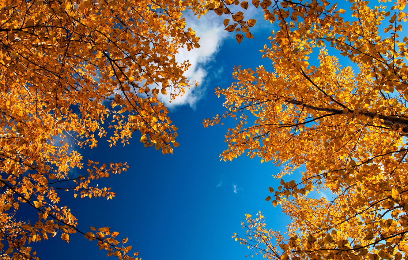 Natural Sky Autumn Wallpapers - Wallpaper Cave