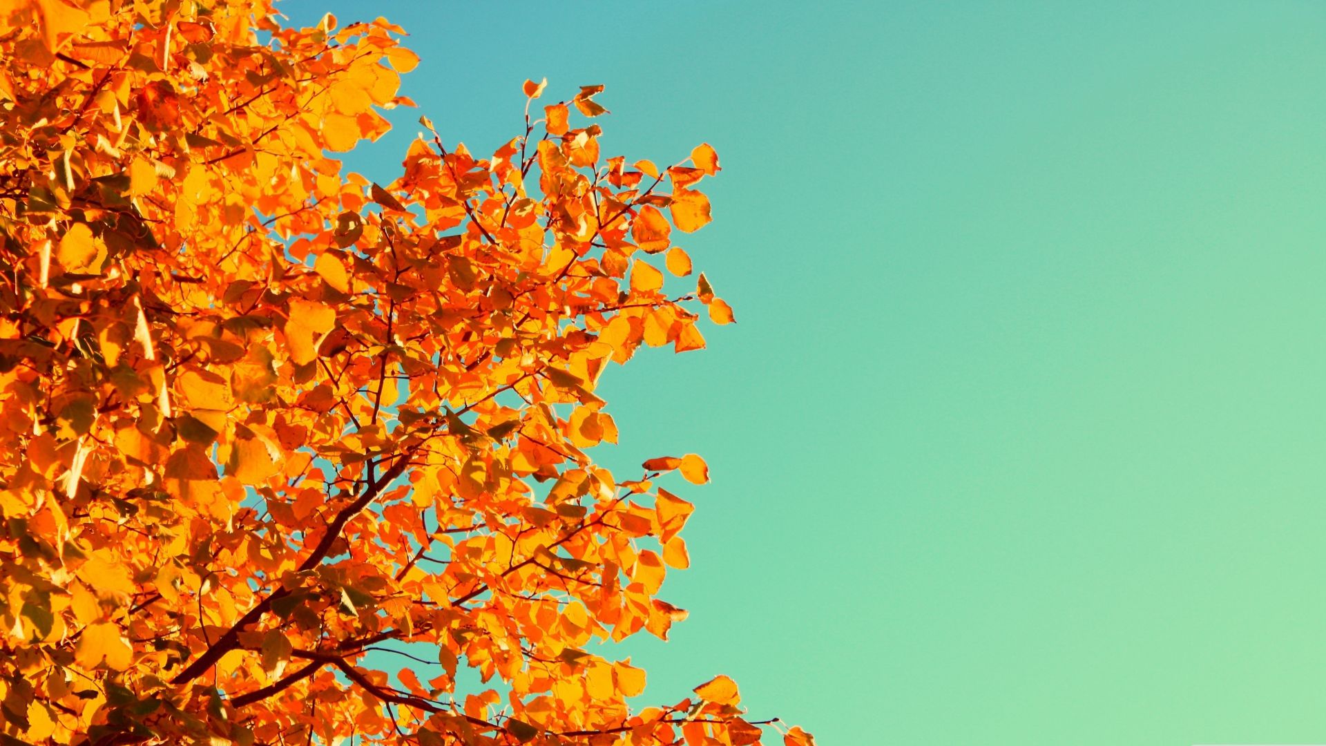 Autumn Sky Wallpapers - Wallpaper Cave