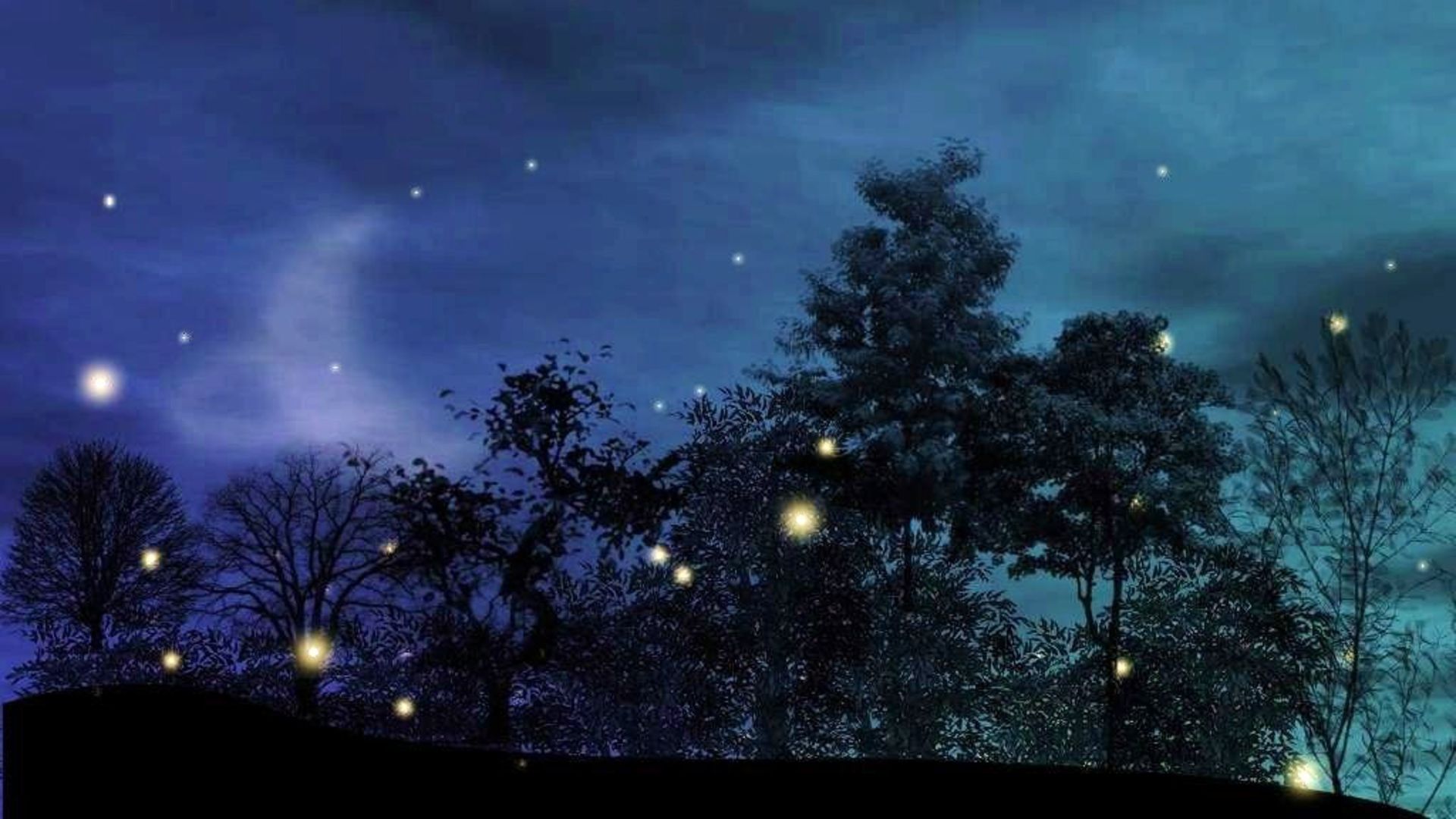 Summer Night Time Wallpapers - Wallpaper Cave