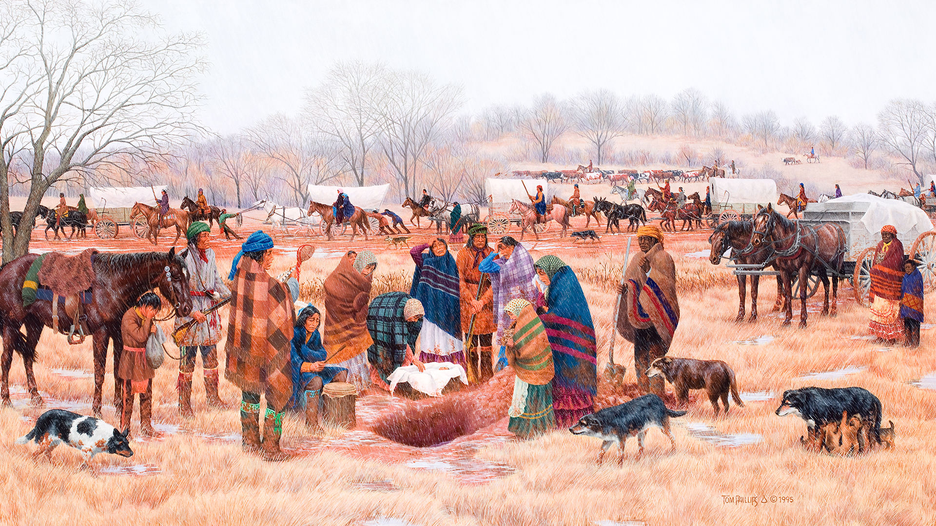 Indian Removal Act Wallpapers - Wallpaper Cave