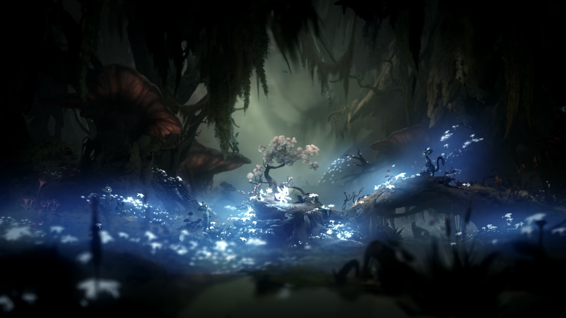 Ori Game Wallpapers - Wallpaper Cave