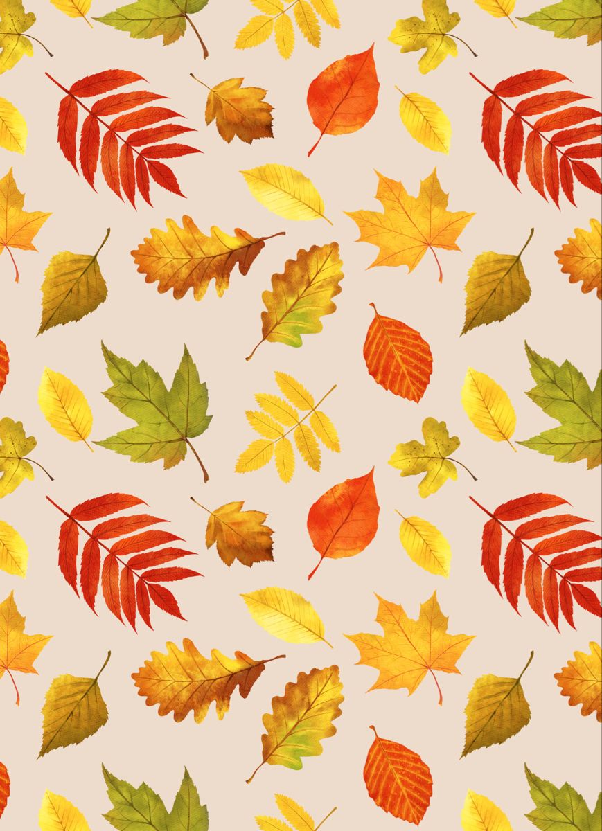 Autumn Solid Wallpapers - Wallpaper Cave