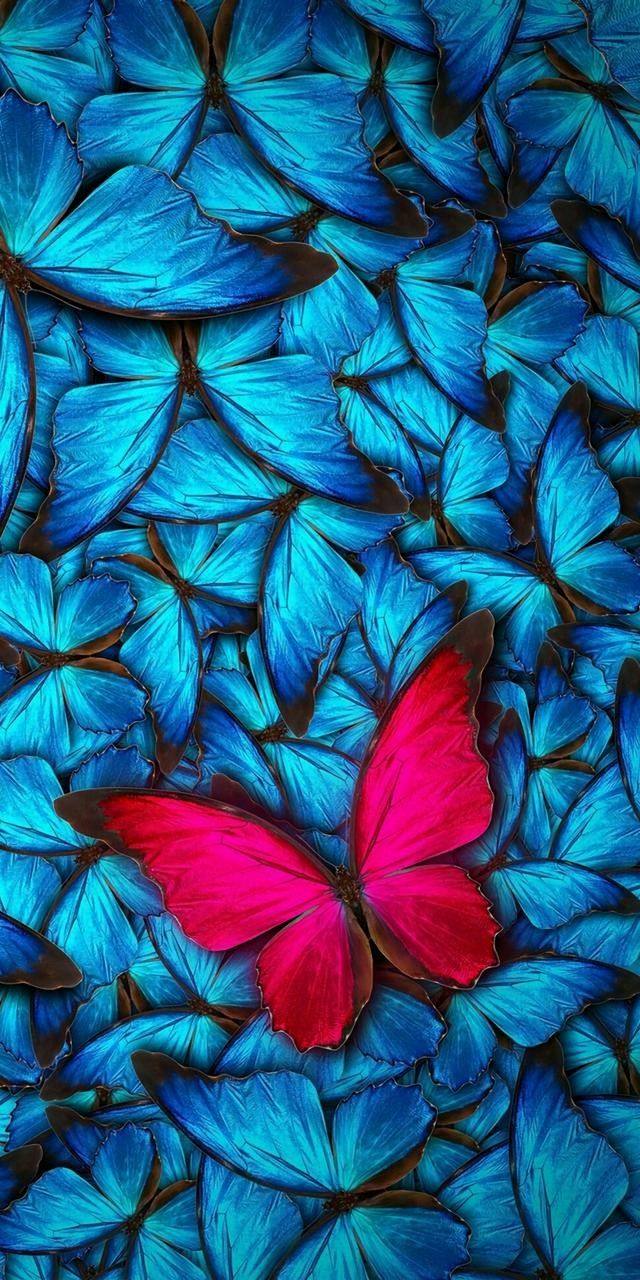 Stand Out Wallpapers - Wallpaper Cave