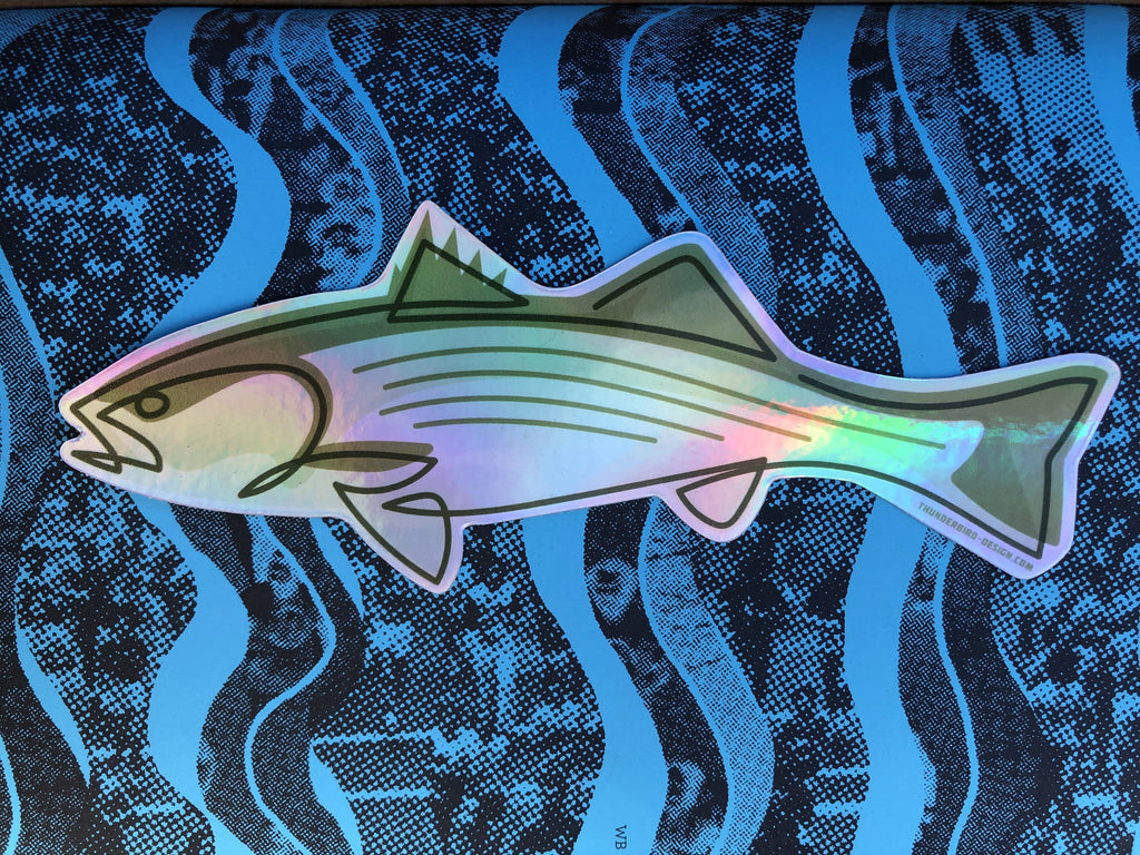 Striped Bass Wallpapers - Wallpaper Cave