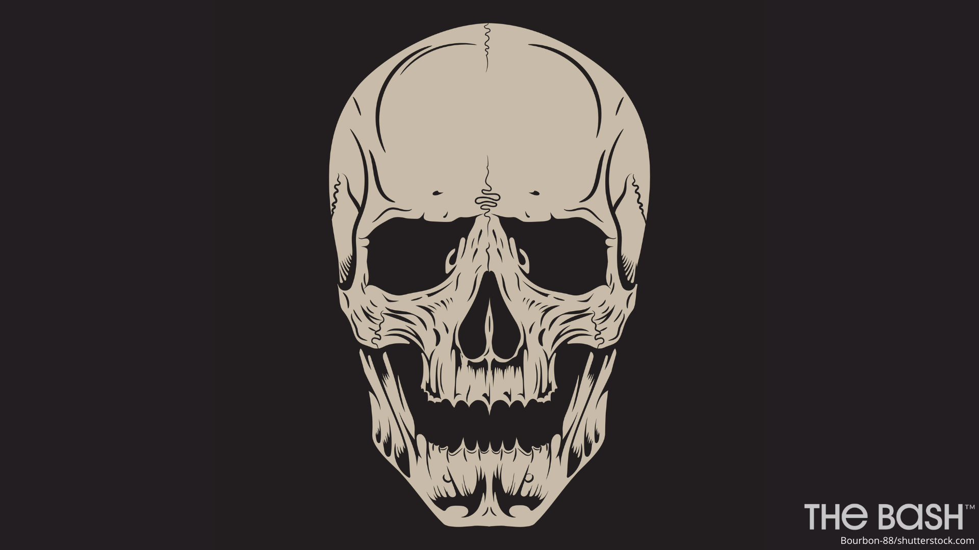 Halloween Skeleton Computer Wallpapers - Wallpaper Cave