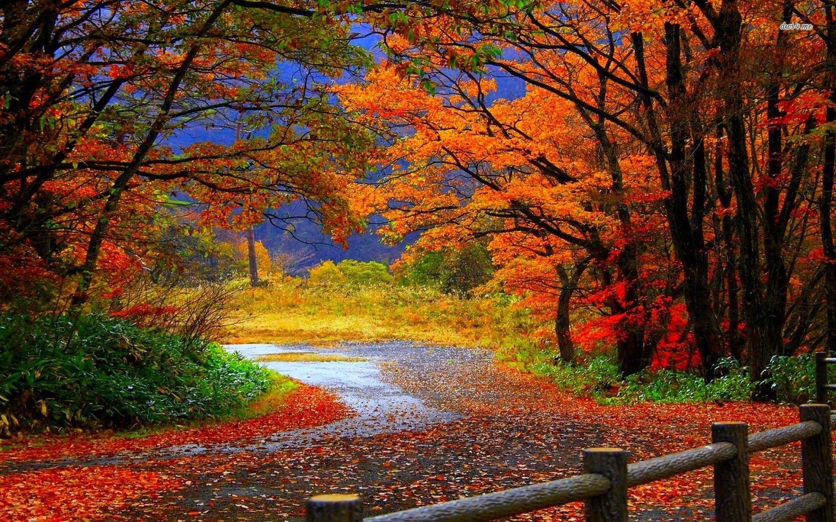 Autumn Natural Wallpapers - Wallpaper Cave