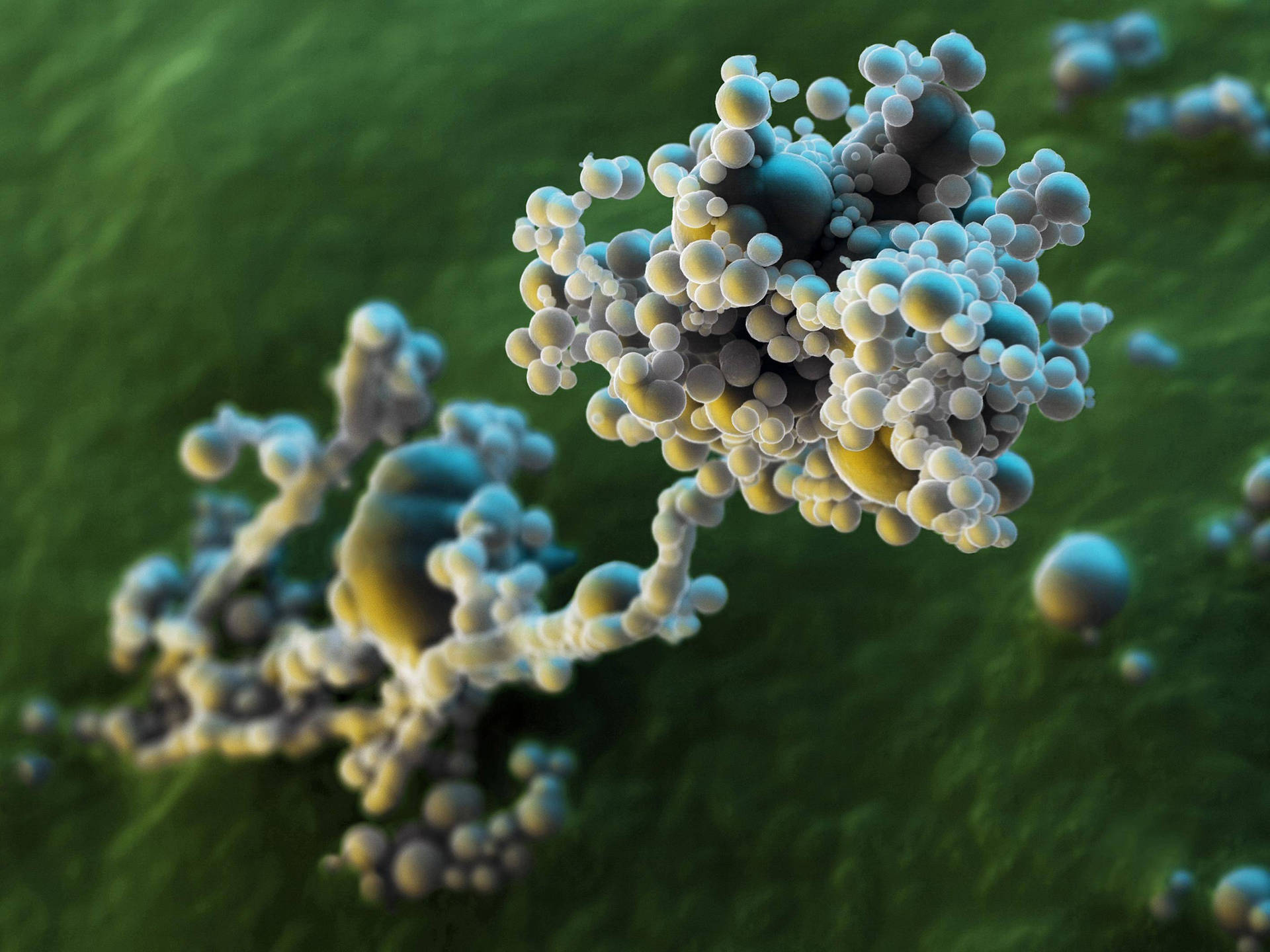 Natural Science Wallpapers - Wallpaper Cave