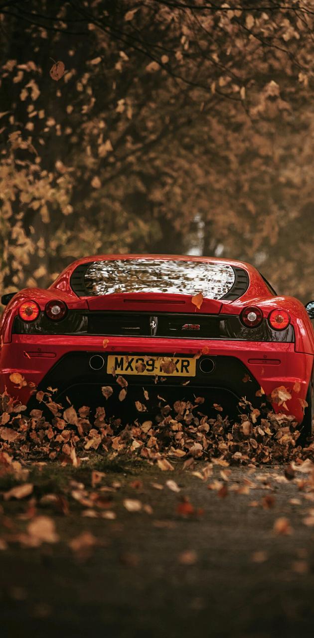 Car In Forest Wallpapers - Wallpaper Cave