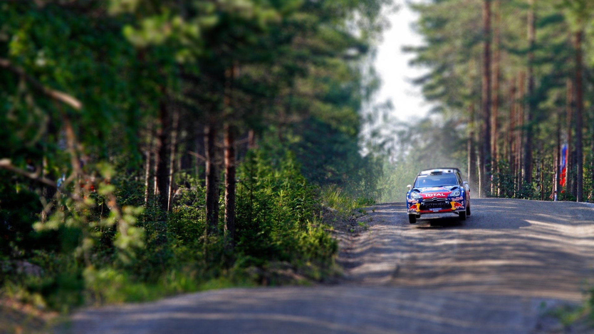 Car In Forest Wallpapers - Wallpaper Cave