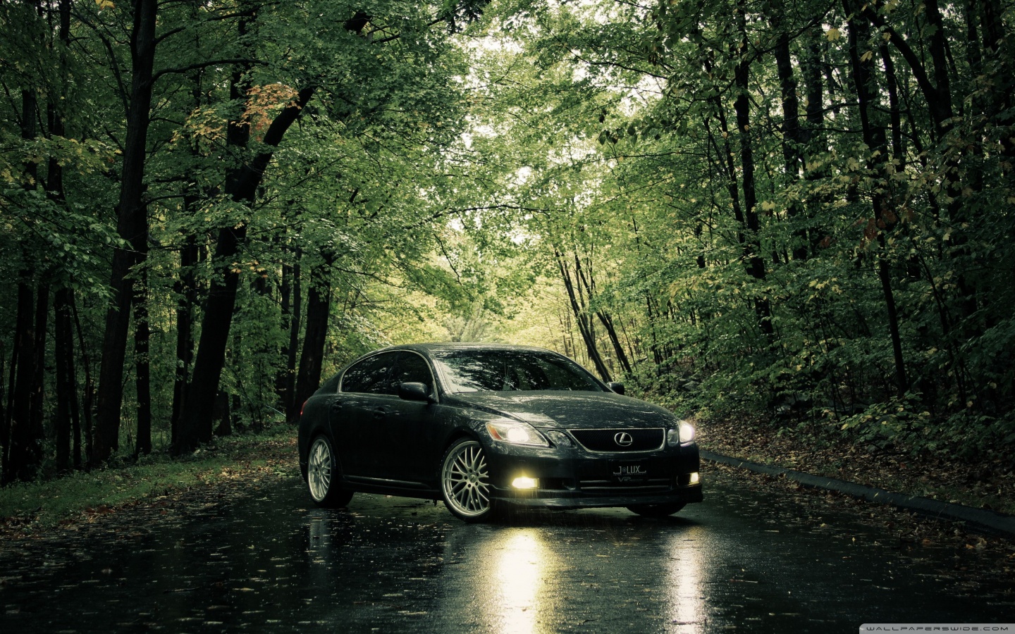 Car In Forest Wallpapers - Wallpaper Cave