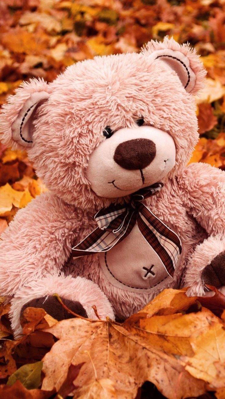 Autumn Teddy Bear Wallpapers - Wallpaper Cave