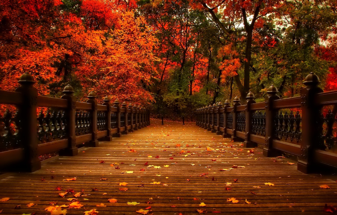 Autumn View Wallpapers - Wallpaper Cave