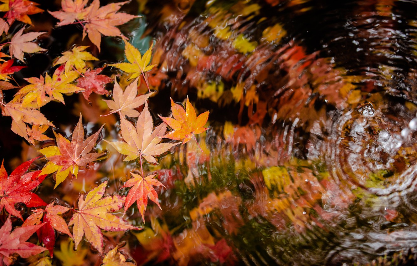 Autumn View Wallpapers - Wallpaper Cave
