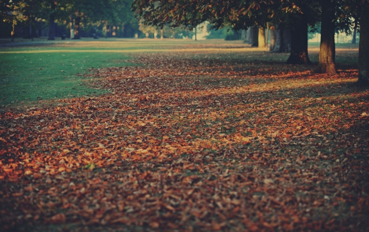 Autumn View Wallpapers - Wallpaper Cave