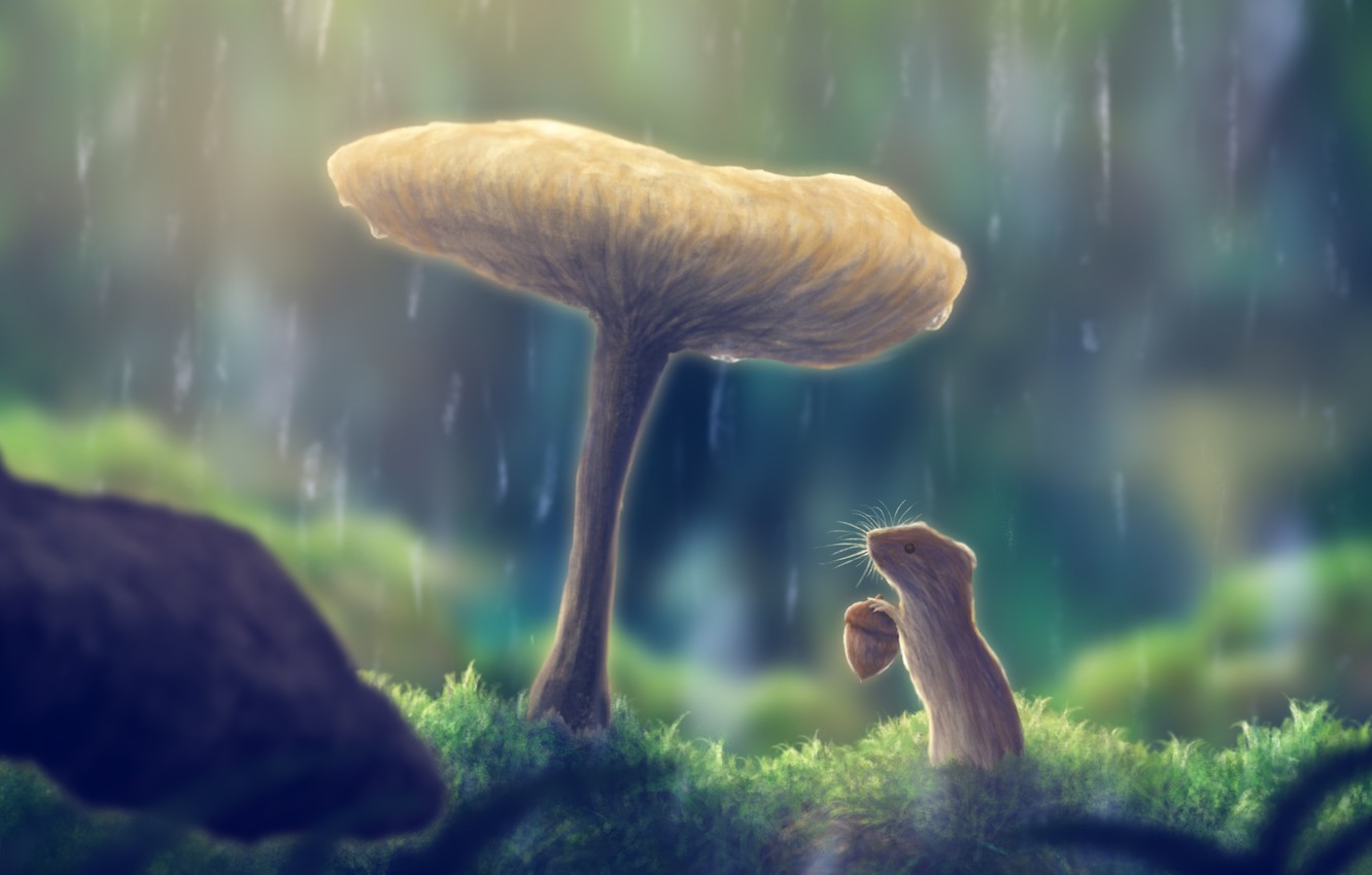Anime Mushroom Wallpapers - Wallpaper Cave