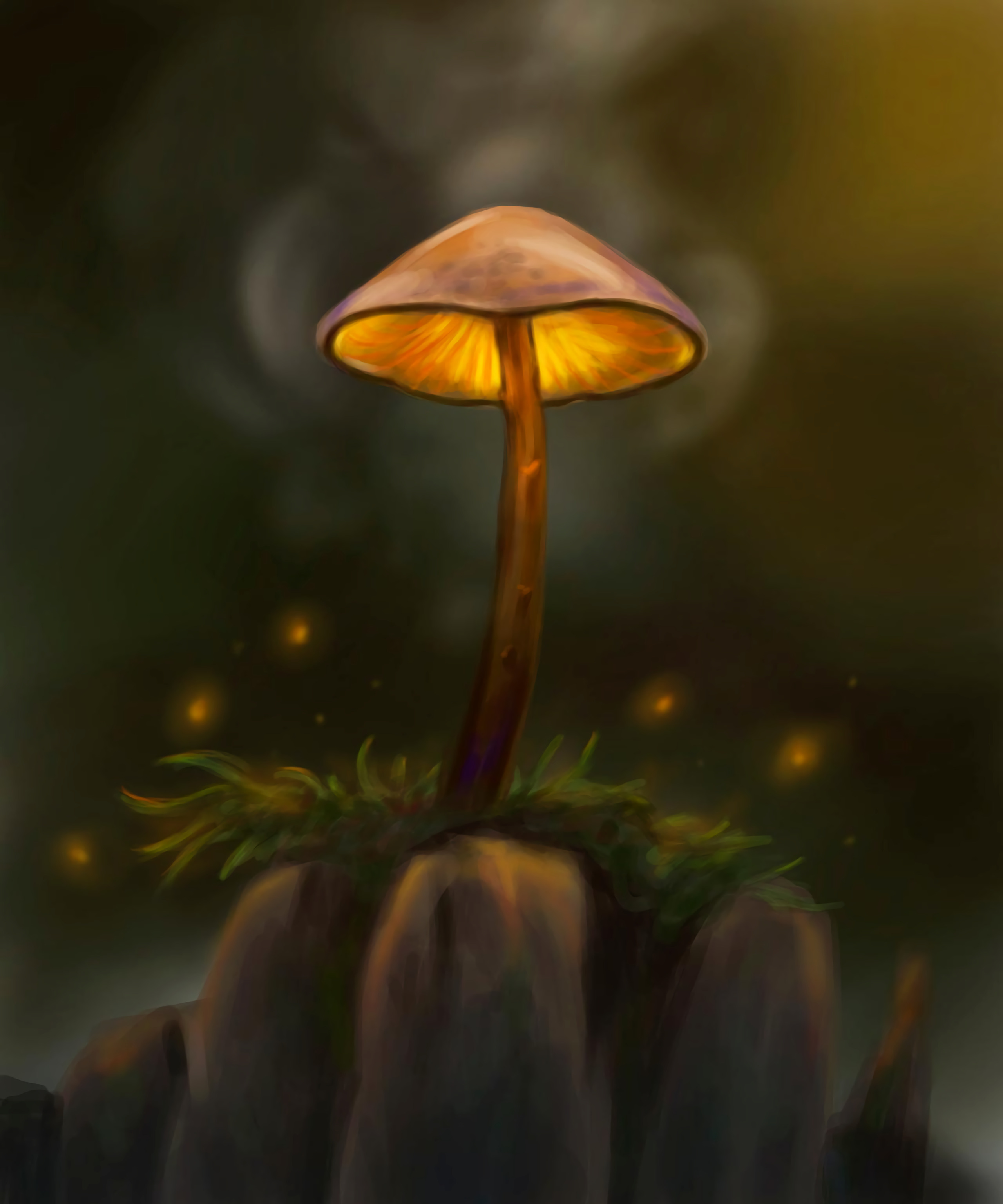Anime Mushroom Wallpapers - Wallpaper Cave
