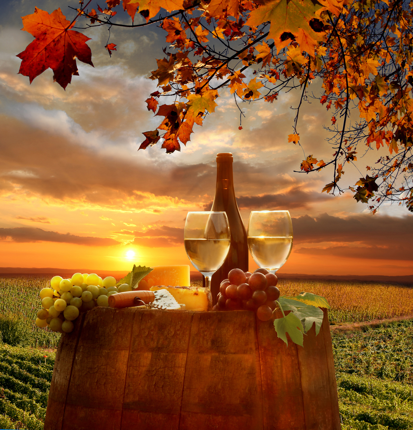 Autumn Wine Wallpapers - Wallpaper Cave