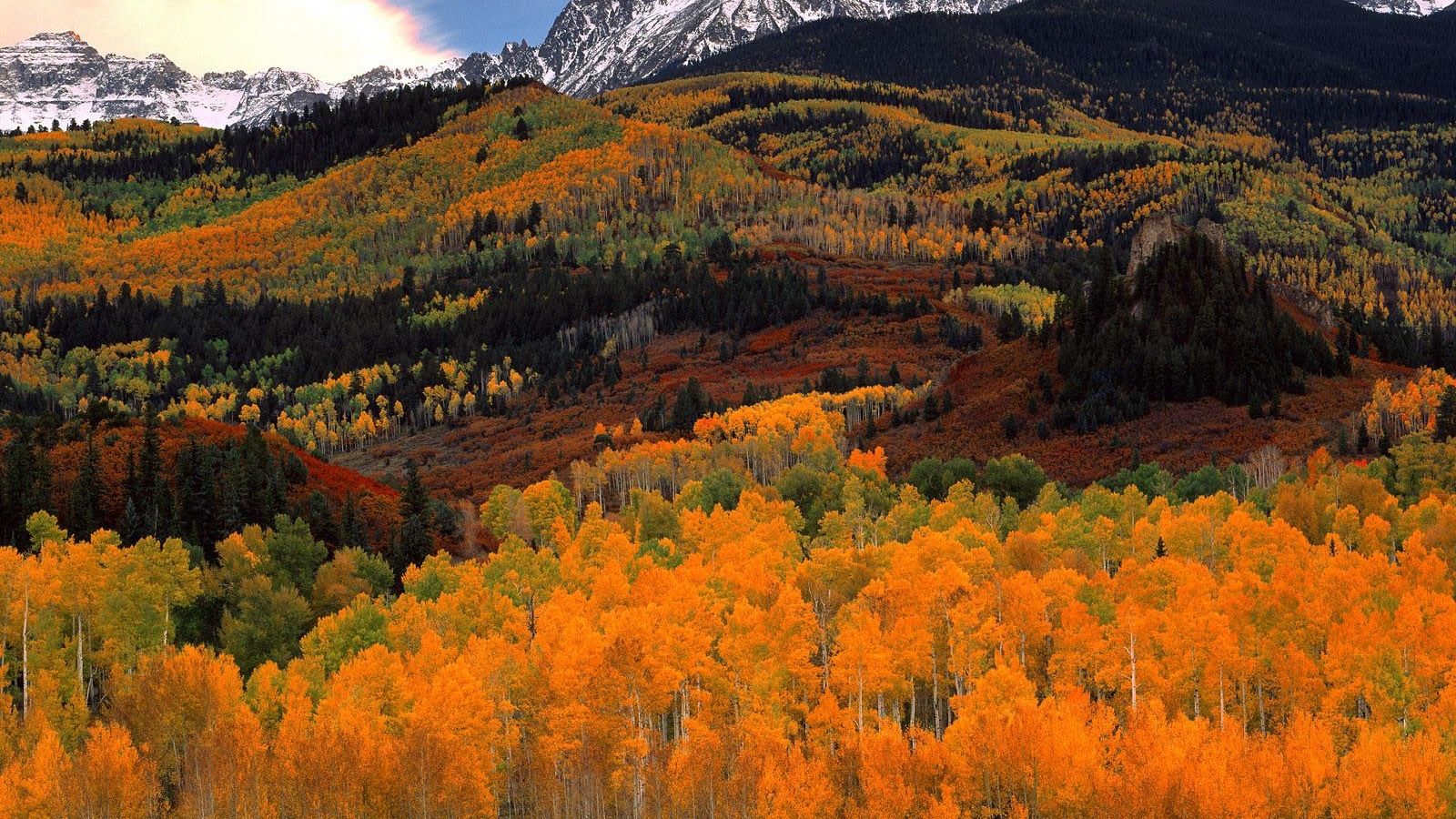 IMac Autumn Wallpapers - Wallpaper Cave