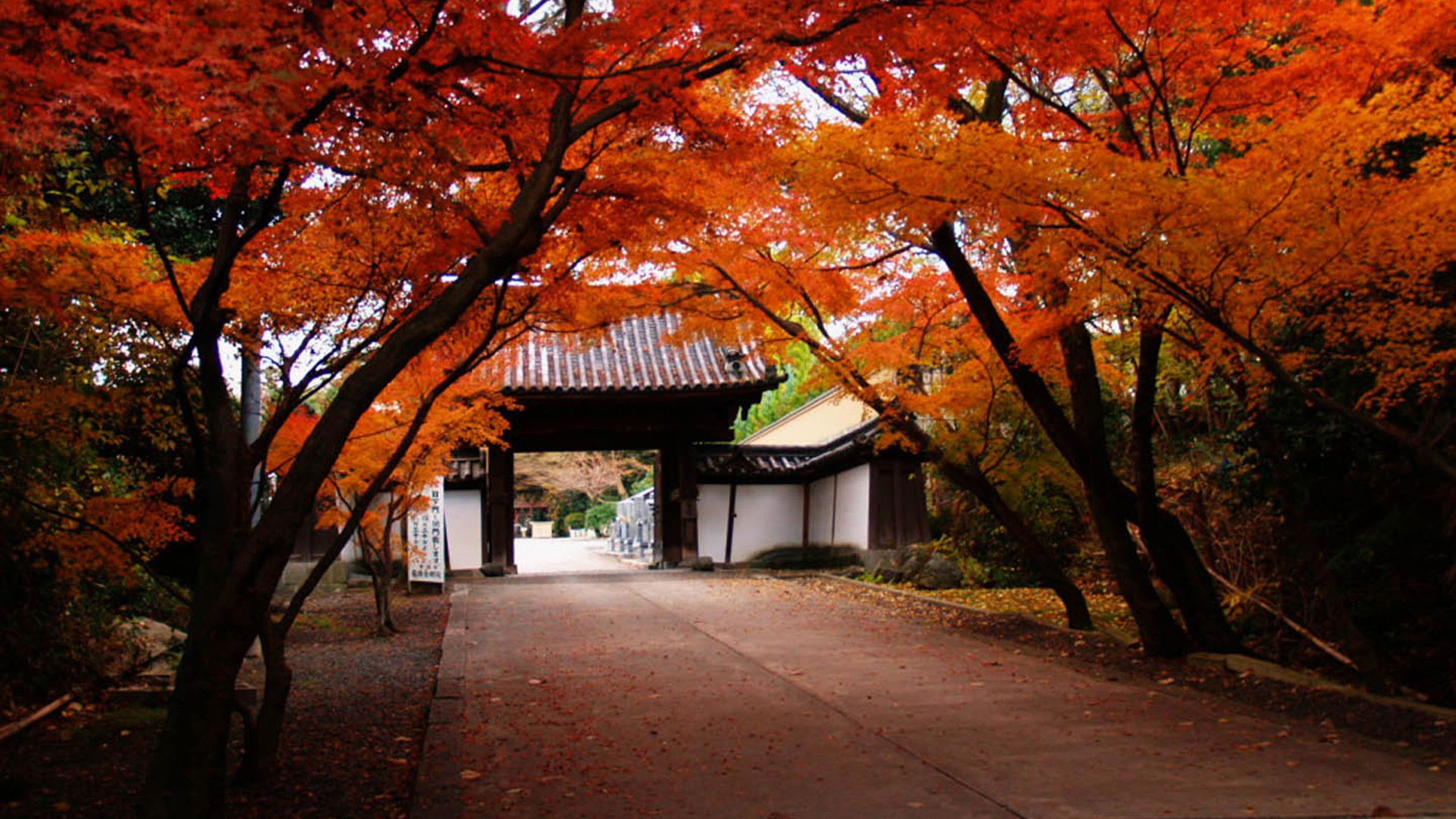 Japan City Autumn Wallpapers - Wallpaper Cave