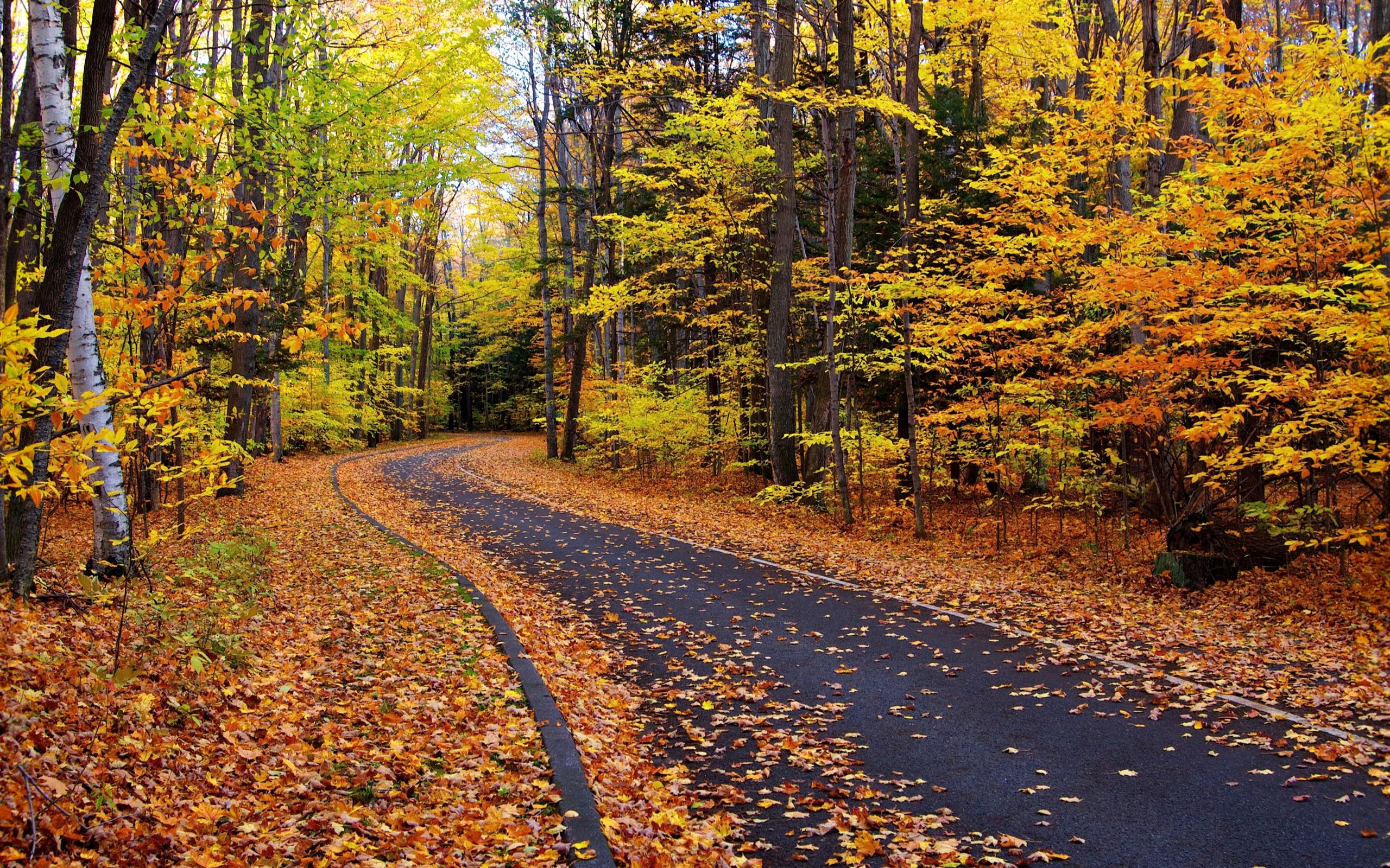 IMac Autumn Wallpapers - Wallpaper Cave