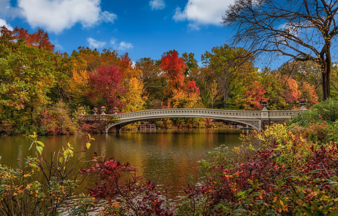 Bridge Autumn Park Wallpapers - Wallpaper Cave