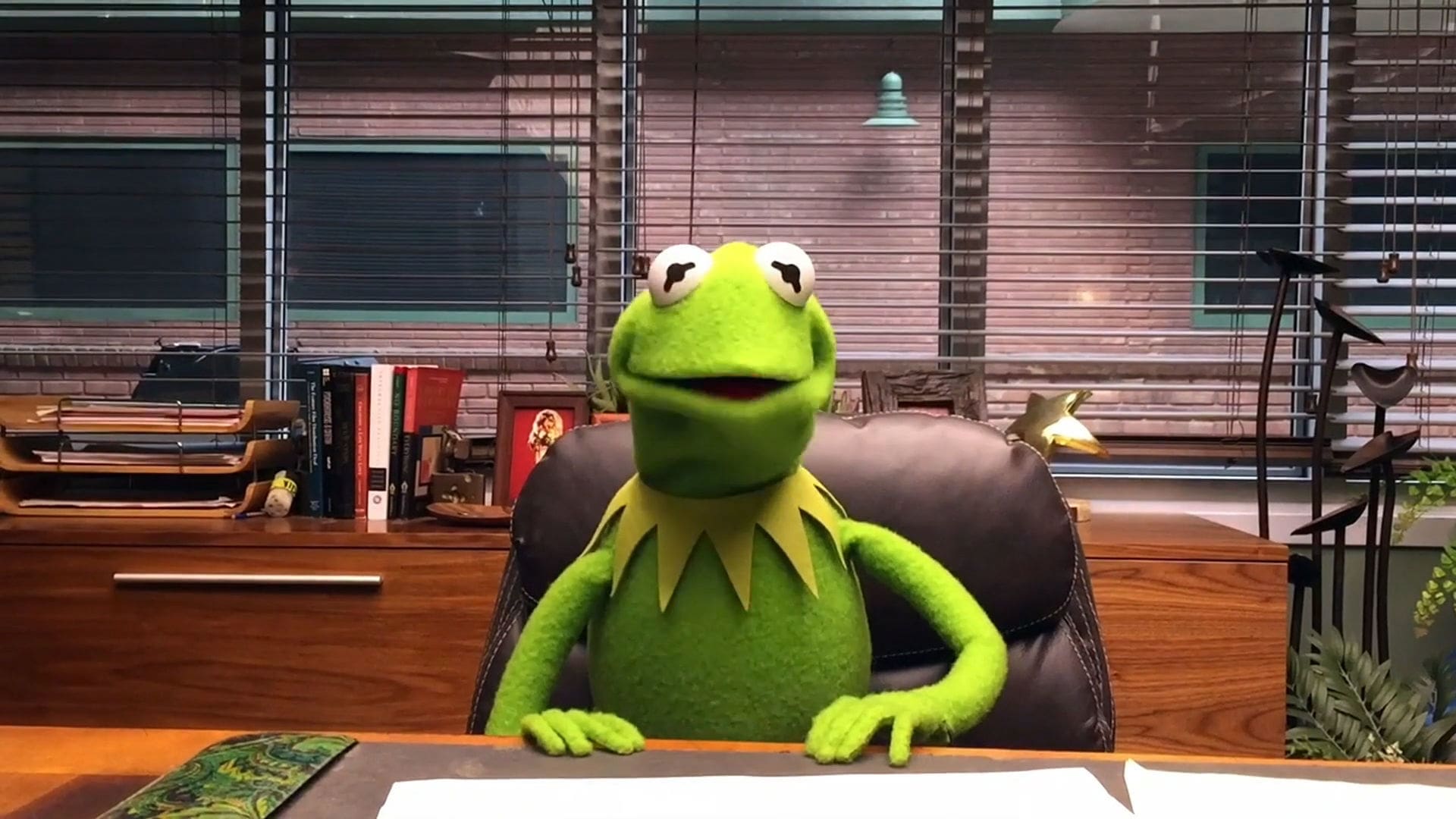 Robin The Frog Wallpapers - Wallpaper Cave