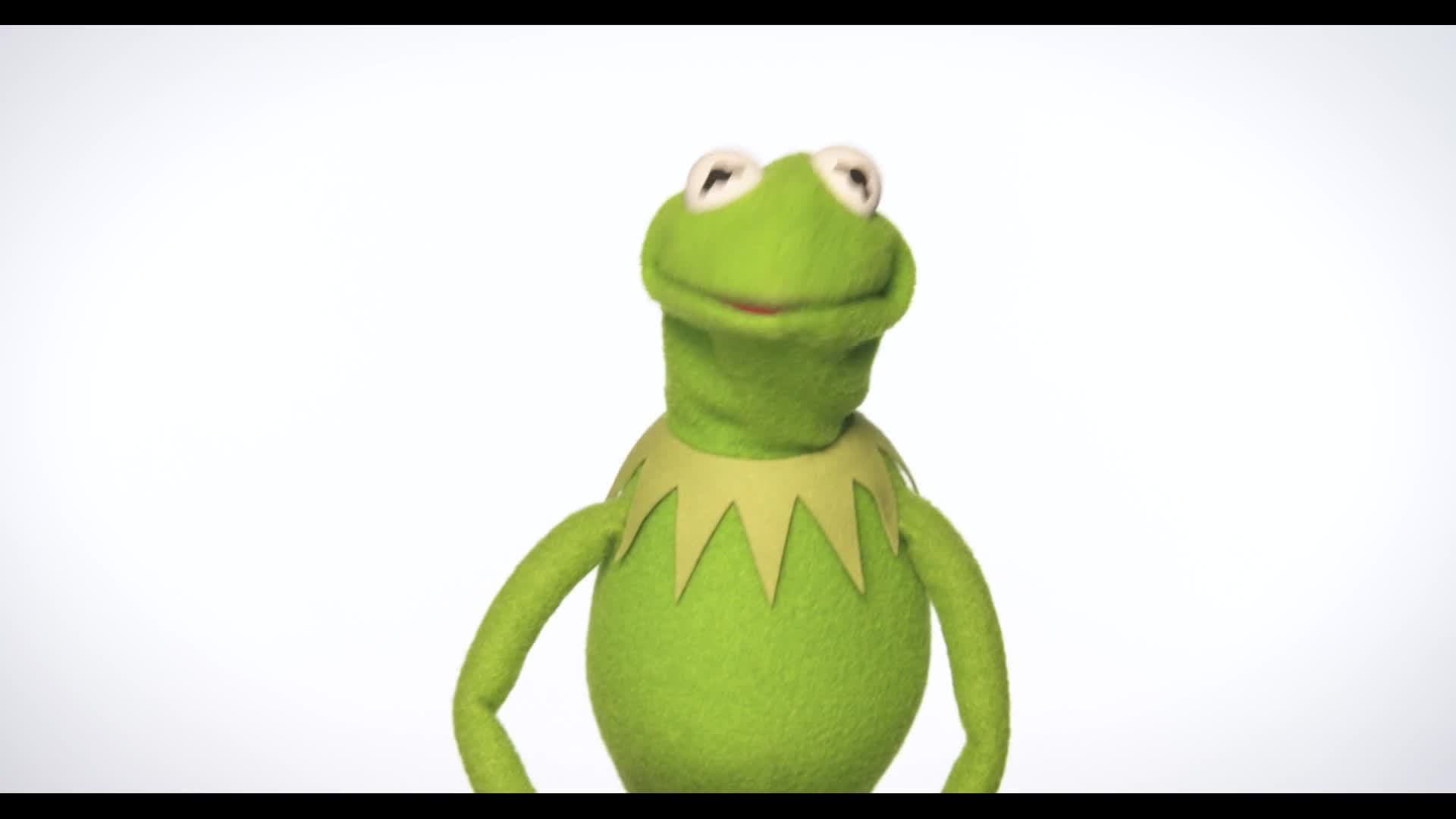 Robin The Frog Wallpapers - Wallpaper Cave