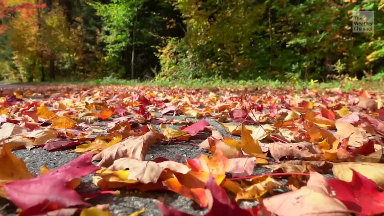 Usual Autumn Computer Wallpapers - Wallpaper Cave