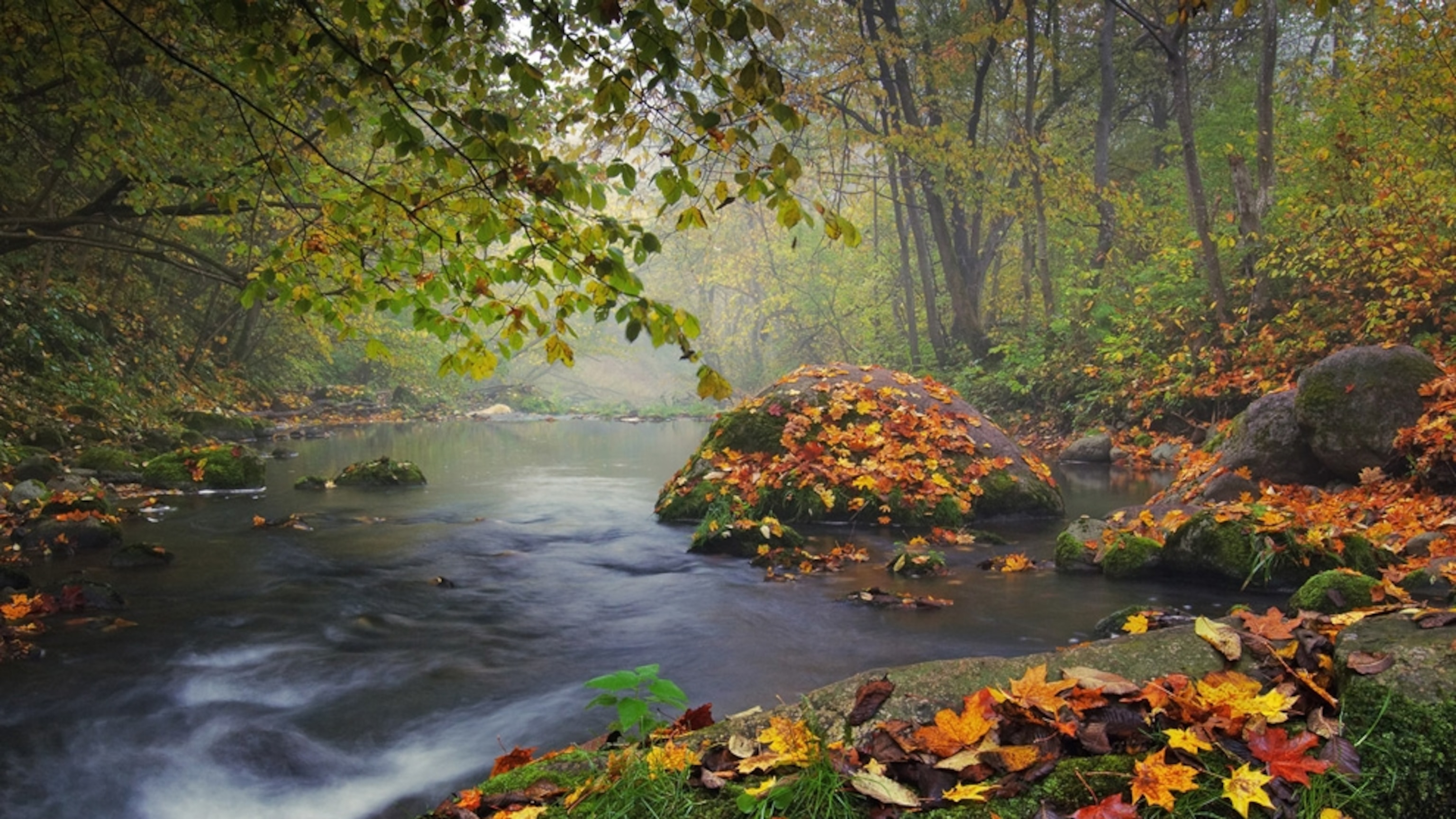 Usual Autumn Computer Wallpapers - Wallpaper Cave