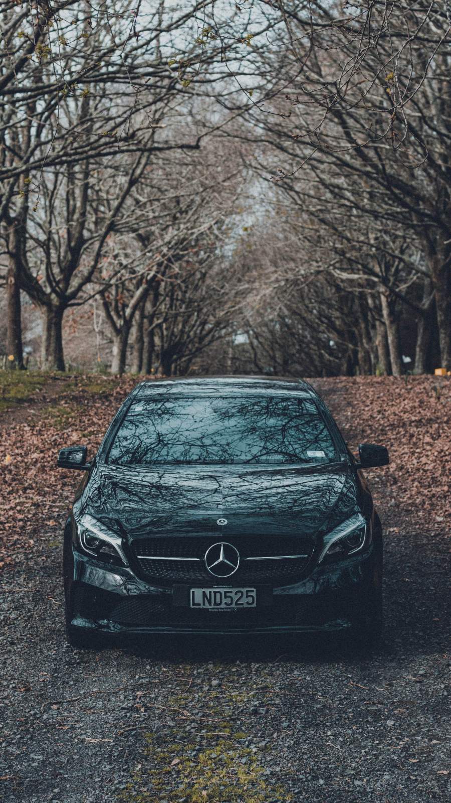Mercedes AMG Autumn Wallpapers - Wallpaper Cave
