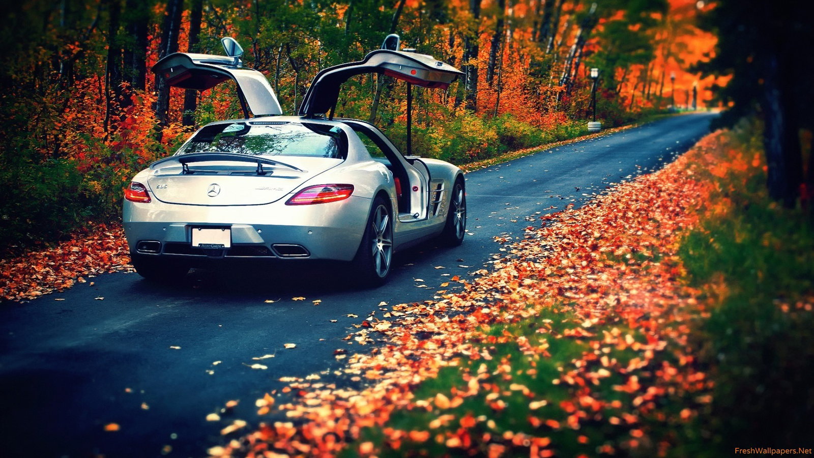 Mercedes AMG Autumn Wallpapers - Wallpaper Cave
