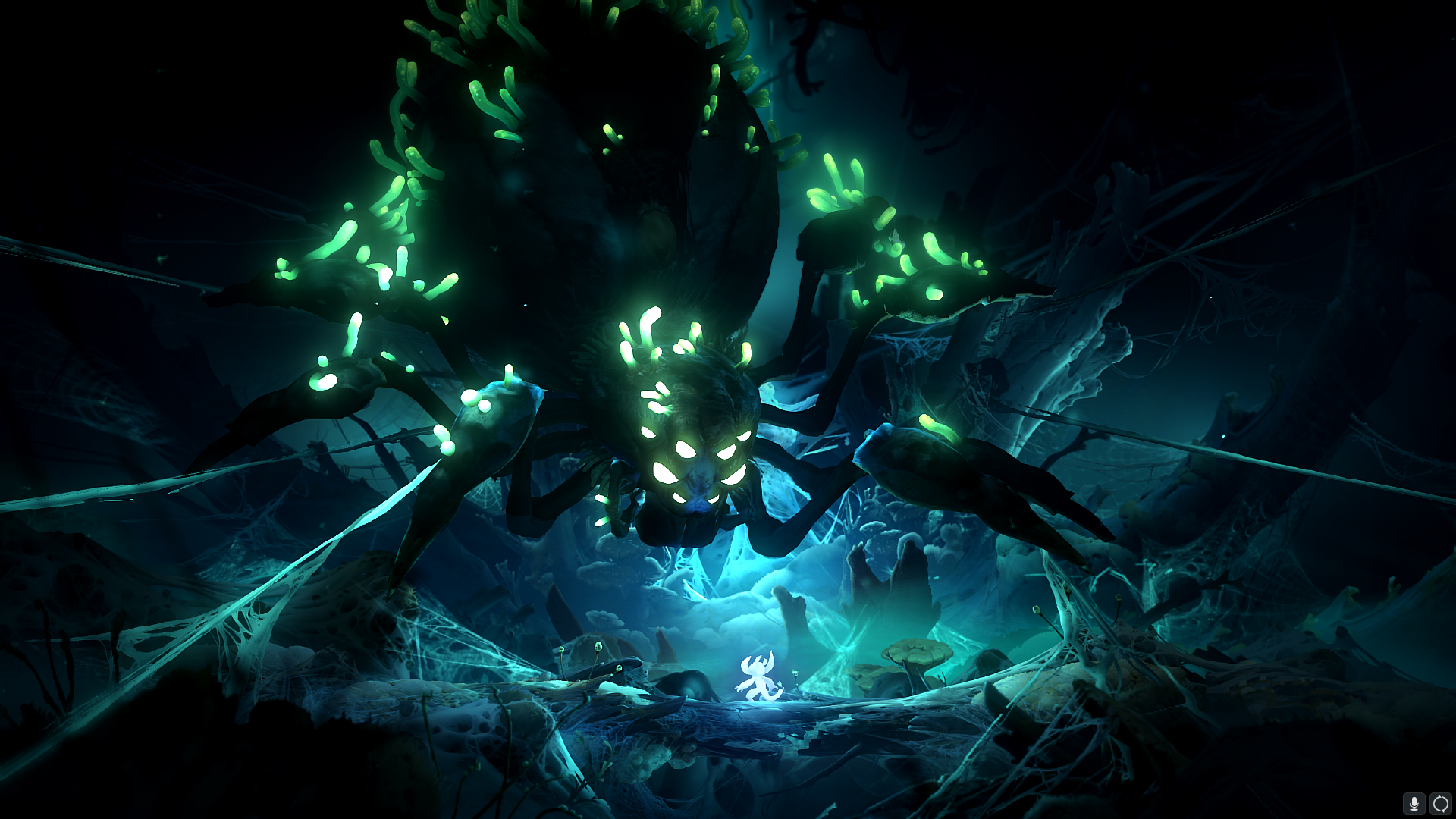 Big Spider Wallpapers - Wallpaper Cave