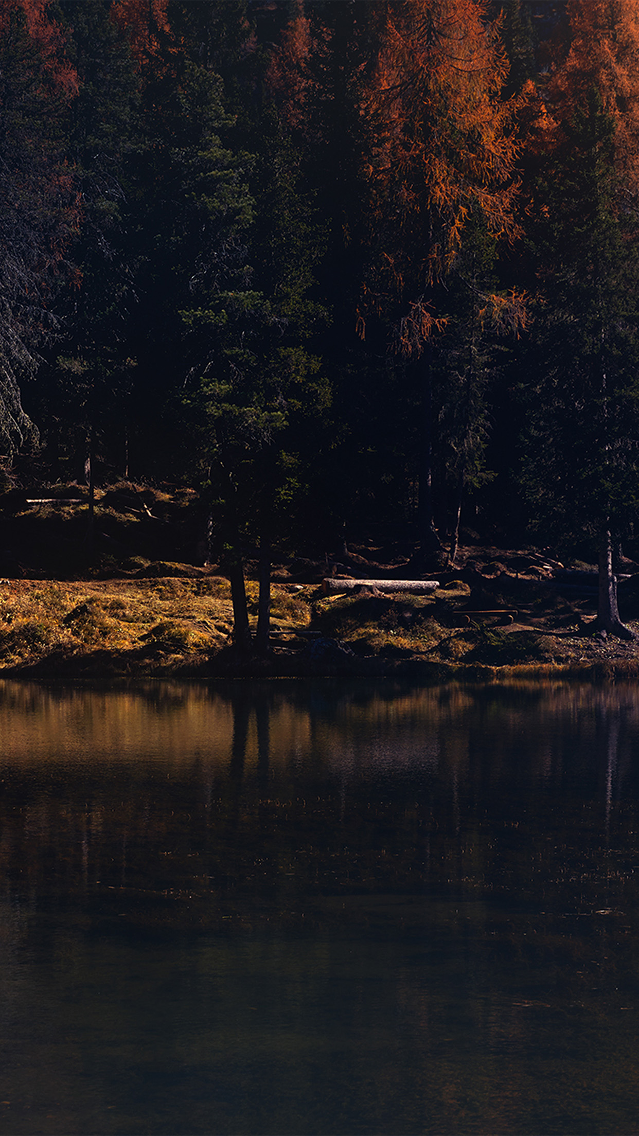 Autumn Trees iPhone Lake Wallpapers - Wallpaper Cave