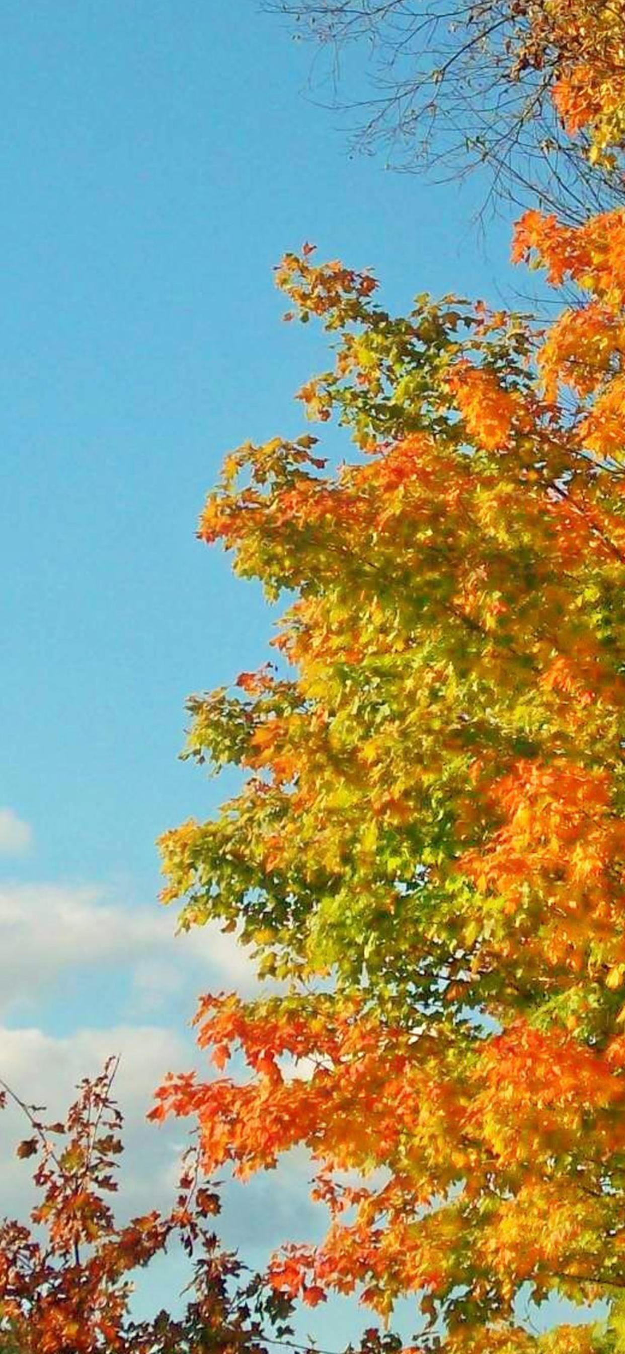 Sunny Autumn Days Wallpapers - Wallpaper Cave