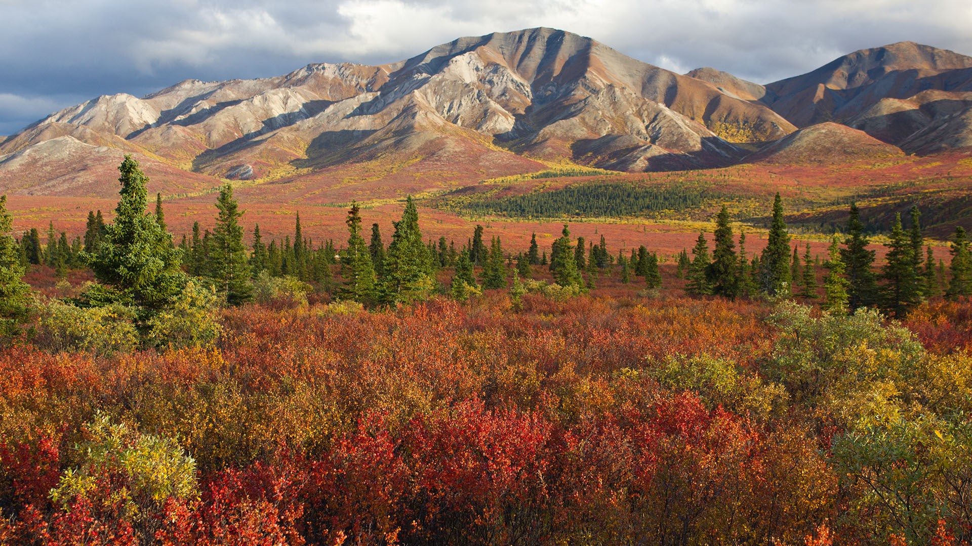 Alaska Autumn HD Wallpapers - Wallpaper Cave