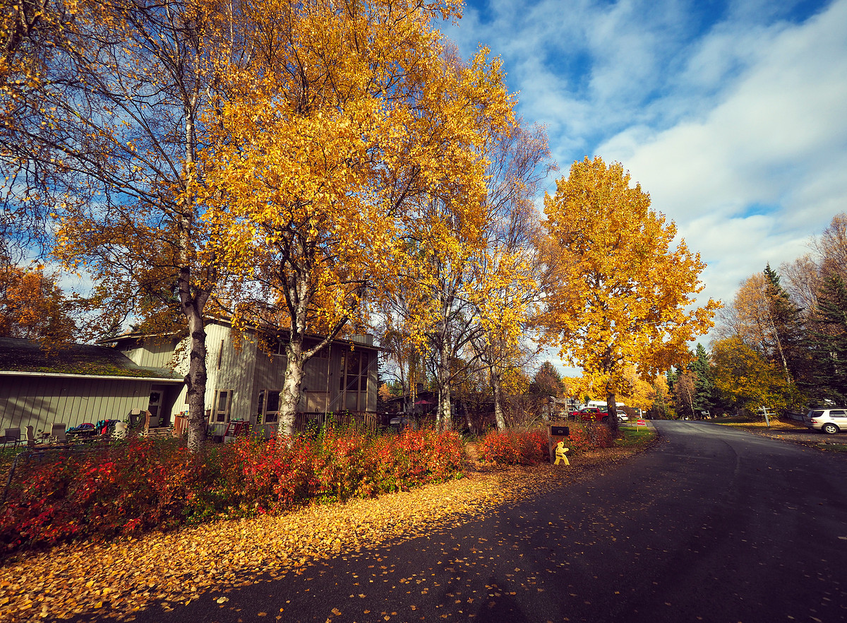 Alaska Autumn HD Wallpapers - Wallpaper Cave